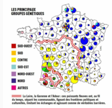 Que révèle la carte génétique de la France ? - L'institut du thorax ...